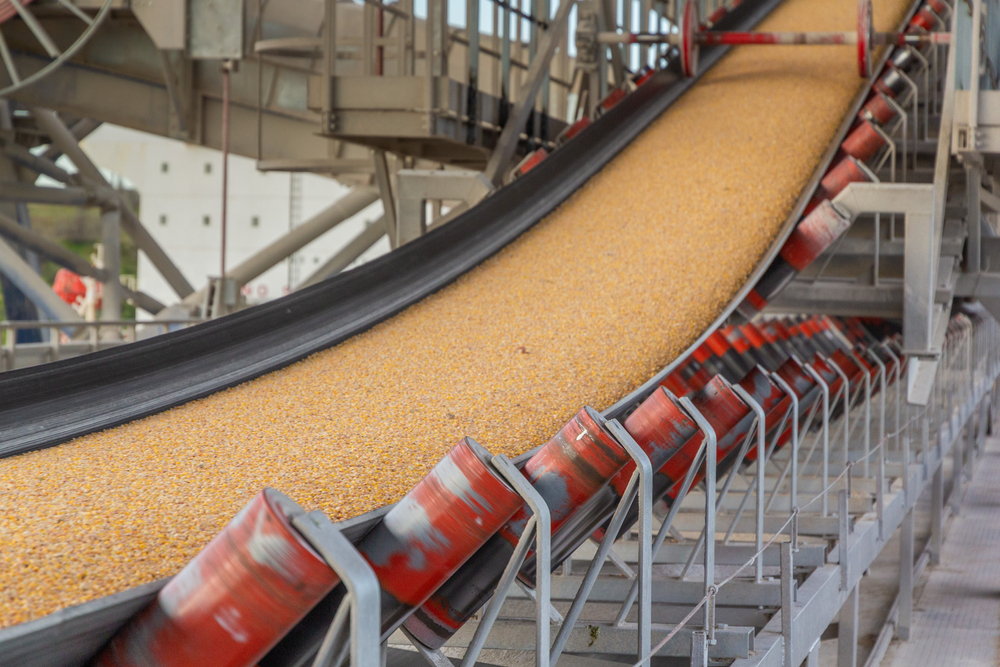 Optimizing Grain Bin Systems: A Comprehensive Guide to Conveyor Systems ...